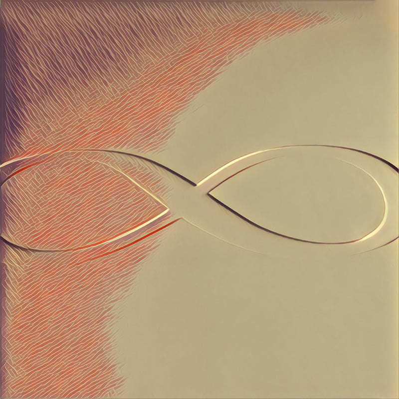 Die Kraft der liegenden Acht - Pallottiner